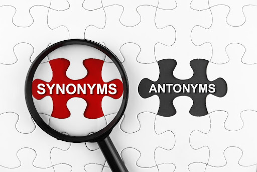 Why are synonyms important? - LocaliZone, LLC